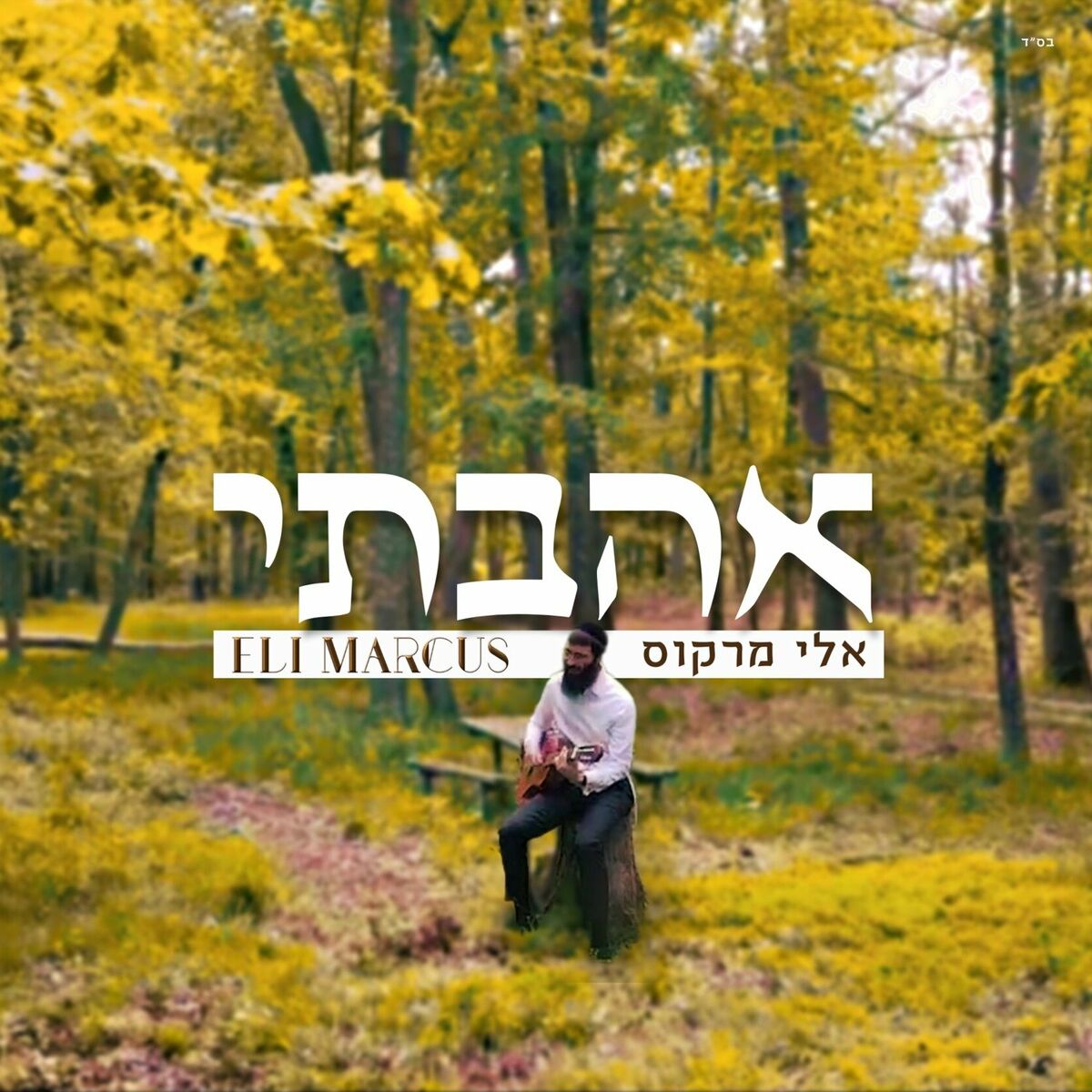 Eli Marcus - Ahavti (Single)