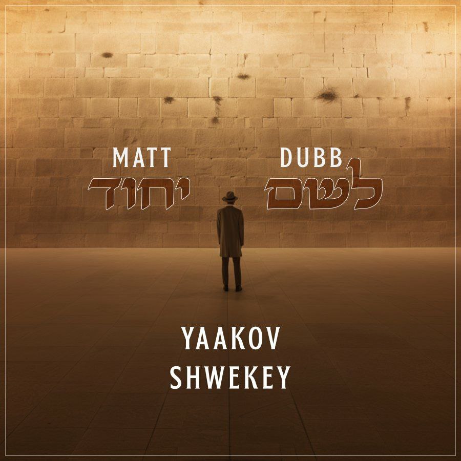 Matt Dubb & Yaakov Shwekey - L'shem Yichud (Single)