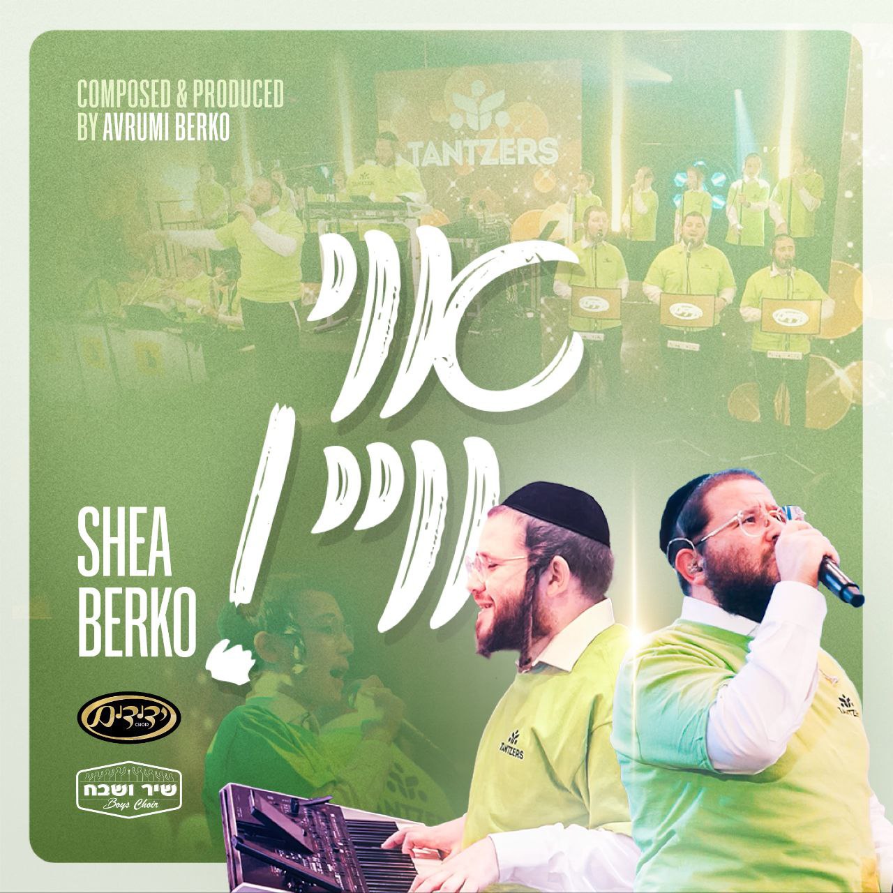 Avrumi & Shea Berko - Oi Vey (Single)