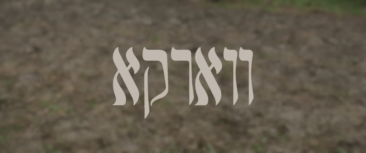 Avrum Mordche Schwartz - Vurka (Single)
