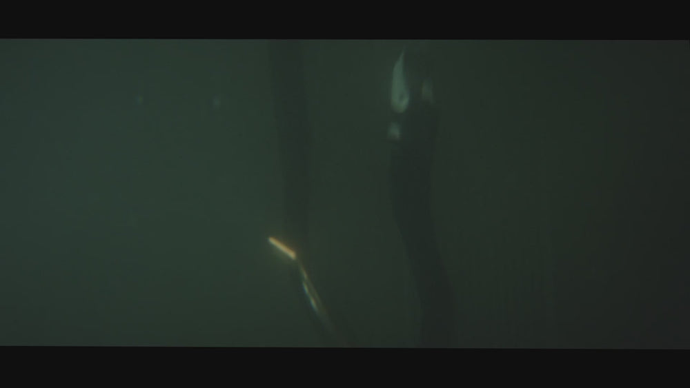 Rachel Shor - Rift On The Ocean (Video)