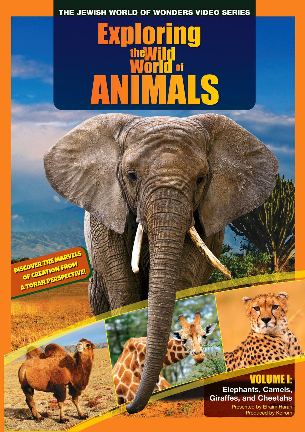 Exploring The Wild World Of Animals (Video)