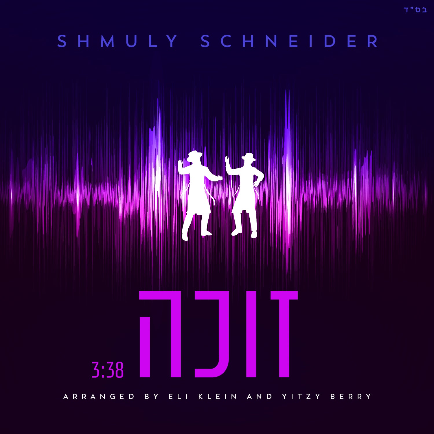 Shmuly Schneider - Zoche (Single)