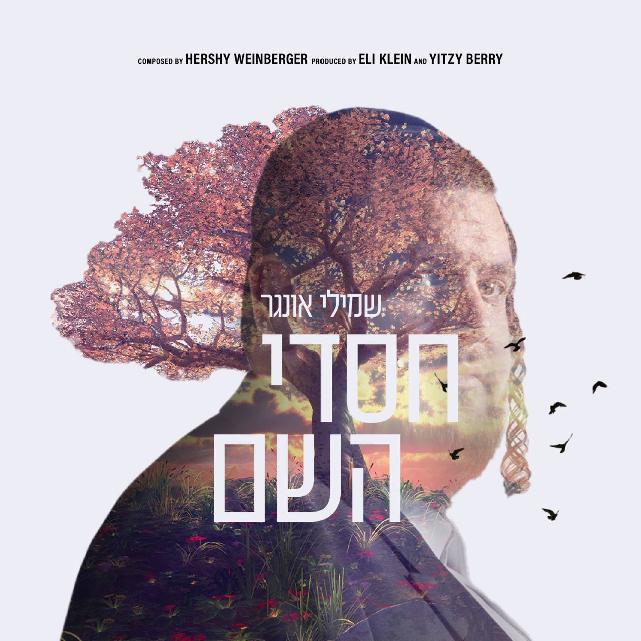 Shmueli Ungar - Chasdei Hashem (Single)